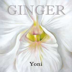 Vinyl Junkie Recordings » GiNGER WiLDHEART | Discography